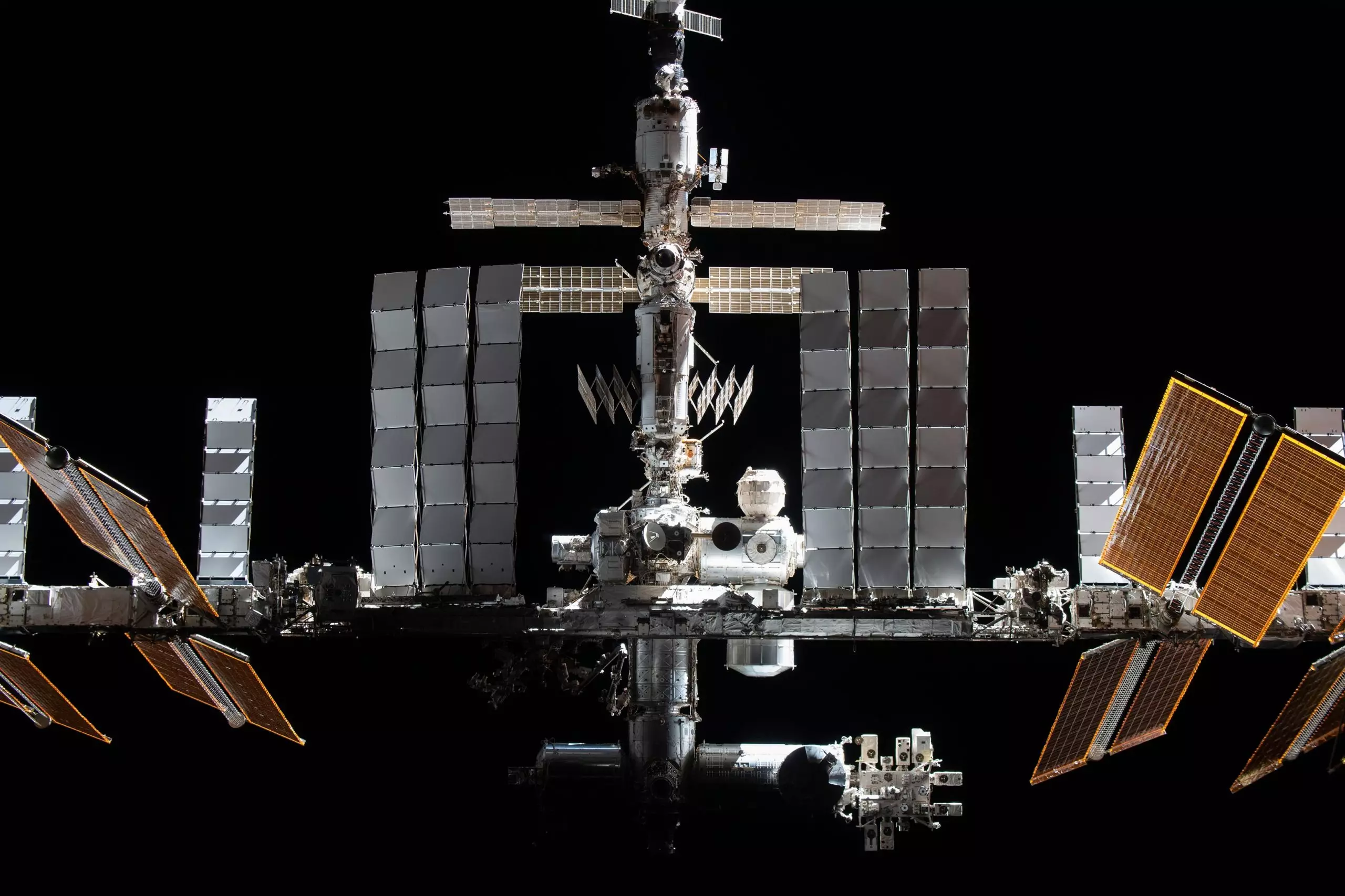 SpaceX Dragon, Spacewalk Preps Midt i rombotanikk og biologiforskning på romstasjonen