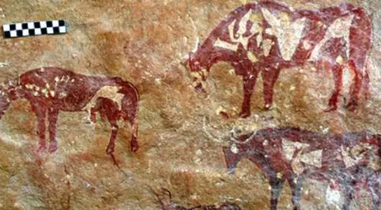 Severoafrické keramické střepy naznačují, že k výrobě jogurtu došlo před 7 000 lety 7251_1