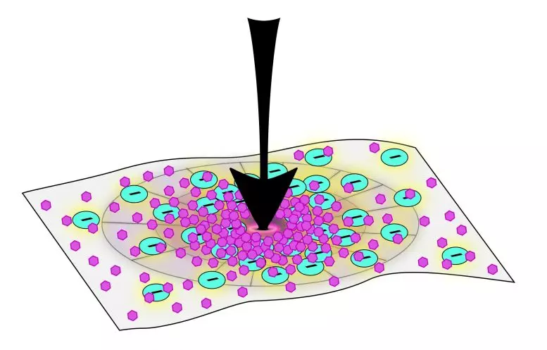 Bioinspired Scaffold