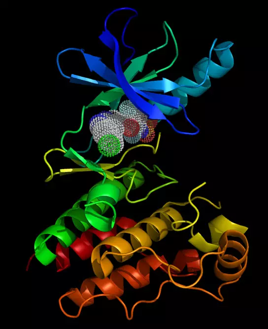 Protein dalam Lingkungan Mikro Tumor Kanker Memiliki Peran dalam Resistensi Obat 7357_2