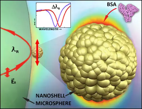 Il biosensore nano avanzato rileva una singola proteina cancerosa