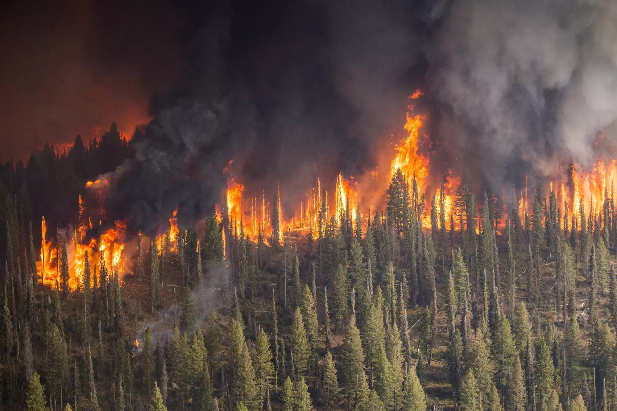 Vivir cerca de incendios forestales puede aumentar su riesgo de cáncer