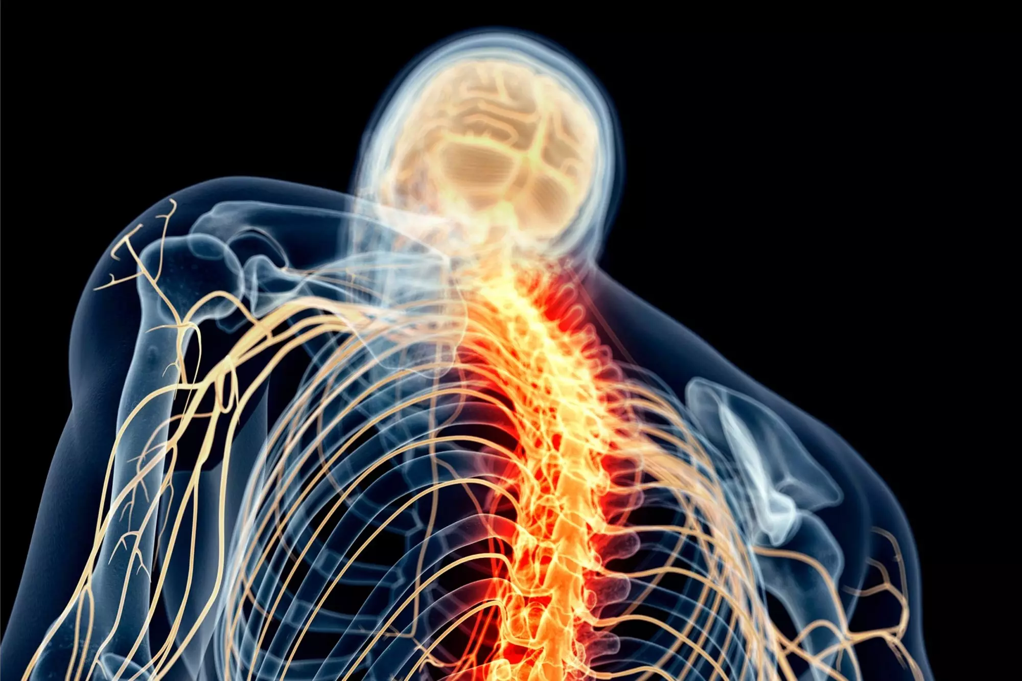 Recupero senza precedenti: il farmaco aiuta a curare le lesioni del midollo spinale