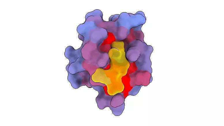Abunda nga “Secret Doors” sa Human Proteins Mahimong Game-Changer for Drug Discovery
