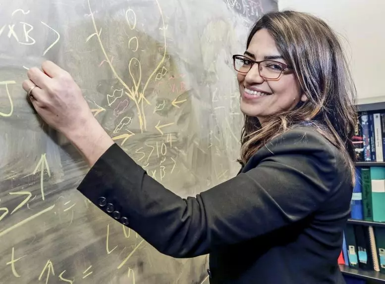 Fatima Ebrahimi, mpahay fizika PPPL