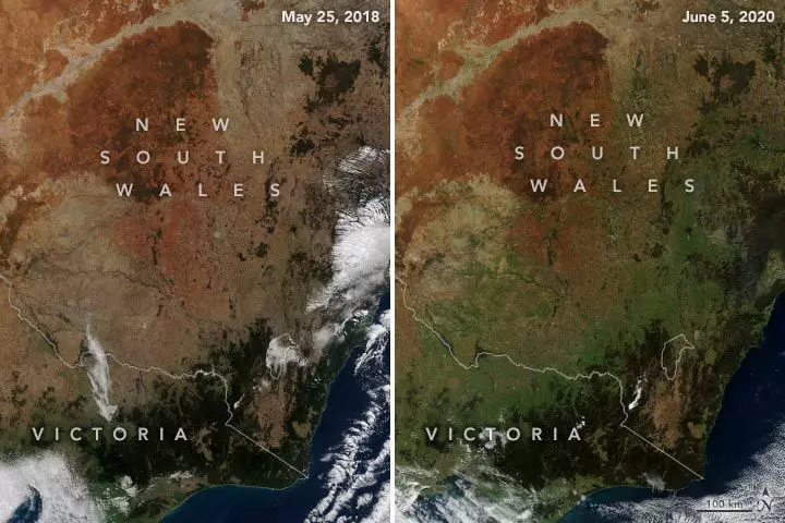 O sueste de Australia vólvese verde