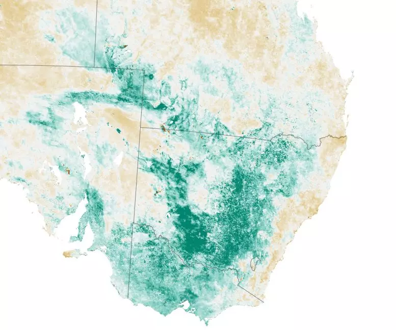 سویل ختیځ آسټرالیا NDVI بې نظمۍ