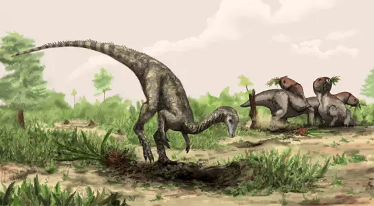 Nyasasaurus, Dineasár is sine a chreidtear a bheith 243 milliún bliain d'aois 7681_1