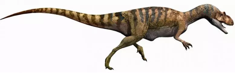 Umzobo weAllosaurus