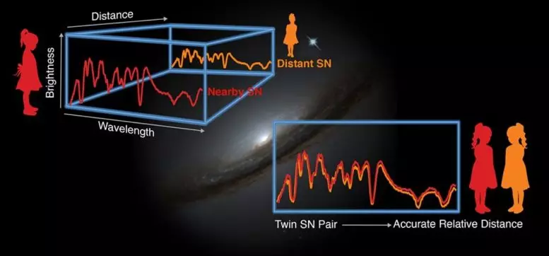 Izinhlobo ezimbili ze-Supernovae Spectra