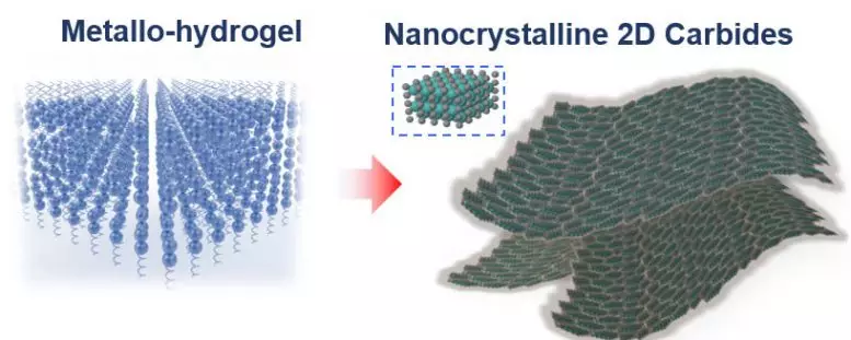 Hydrogen Catalyst Evolution