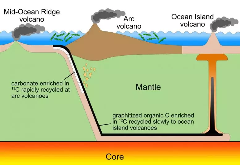 Anorganic Carbon Cycles Mantle