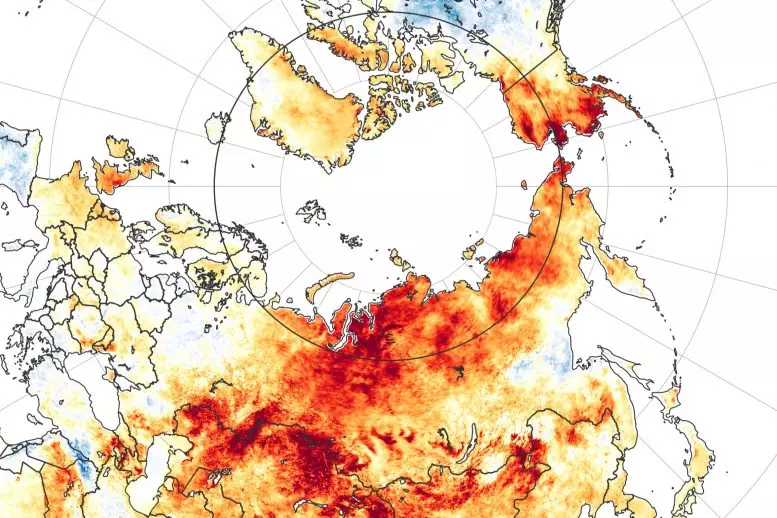 Temperaturanomalie der sibirischen Landoberfläche 2020