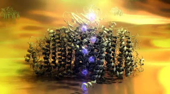 Methode zur Messung von Photoströmen eines einzelnen funktionalisierten photosynthetischen Proteinsystems