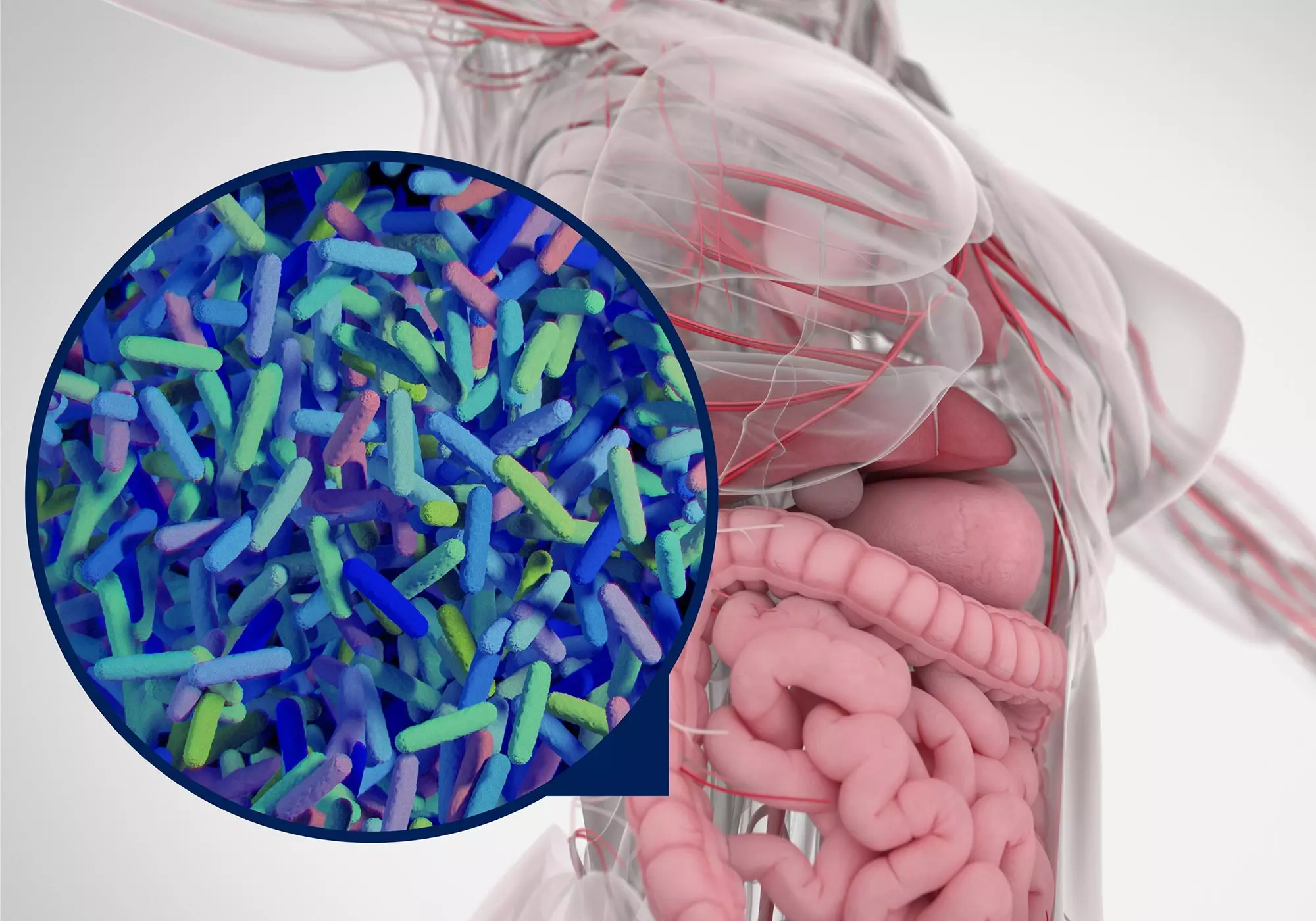 Ciência simplificada: o que é biologia de sistemas?