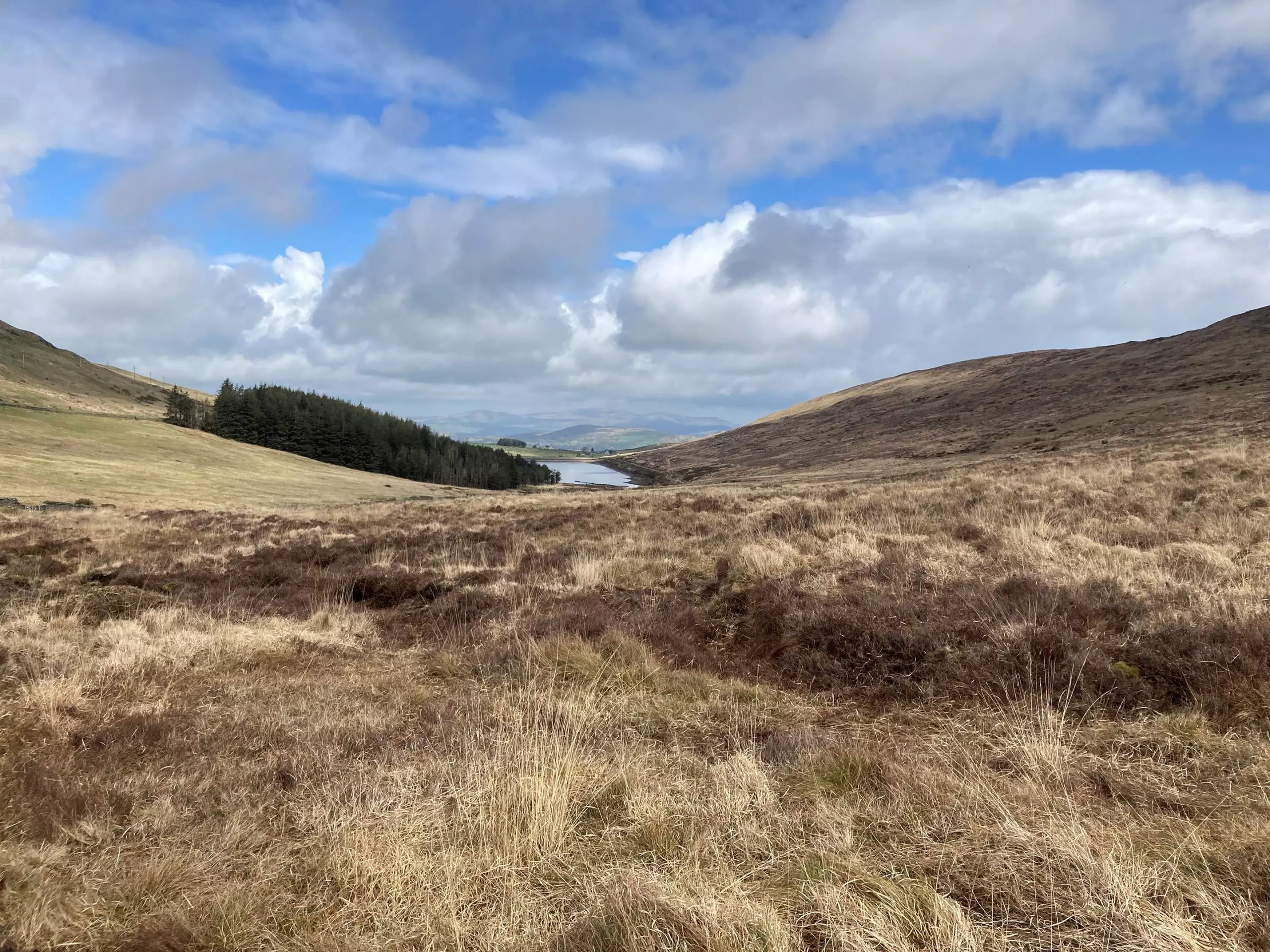 Sechaba se Hōle sa Ireland se Pholohile Lilemo Tse Sekete Tsa Phetoho ea Tikoloho