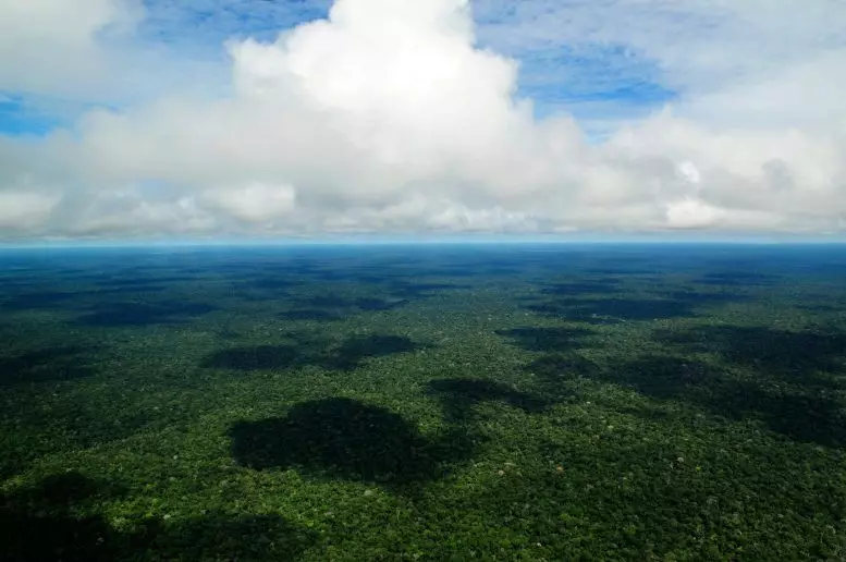 Vista aèria de l'Amazònia brasilera