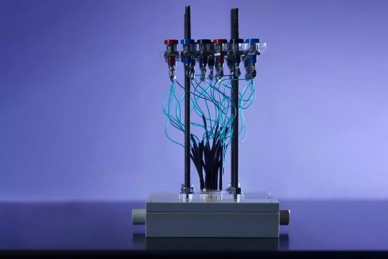 Silicon Chip Glucose Micro Amavuta ya selile