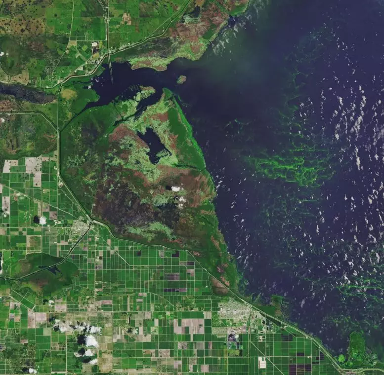 Lake Okeechobee