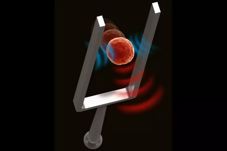 Acoustic Wave saib xyuas qhov tawv nqaij ntawm cov Cells nyob