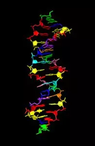 Os investigadores crean ADN como unha molécula