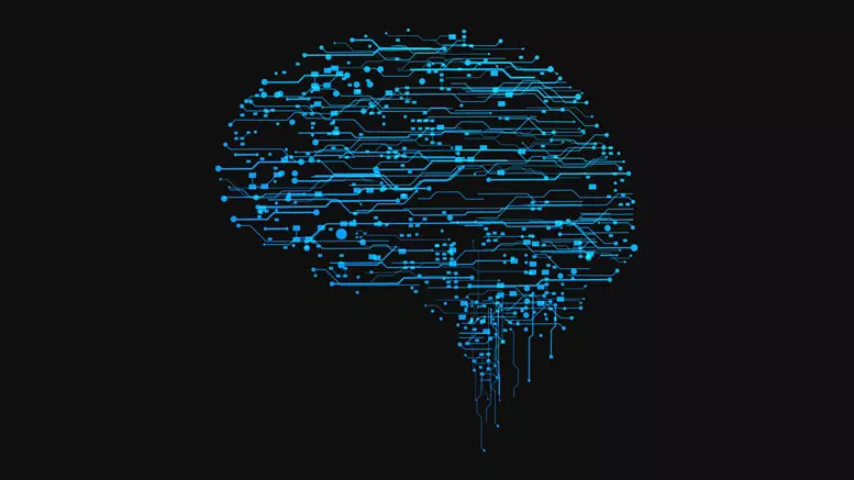 I ricercatori identificano le firme neurali dell'apprendimento esplicito e implicito