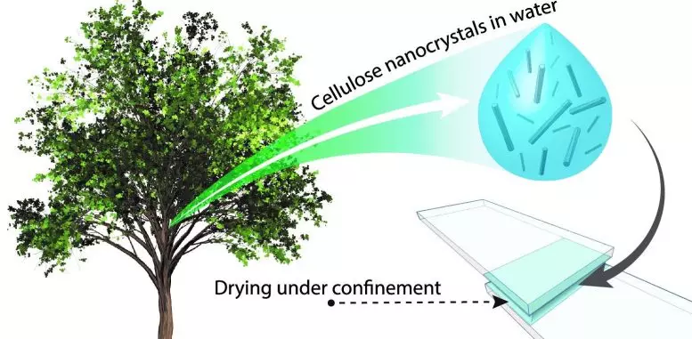 Eco Superglue Demonstratioun