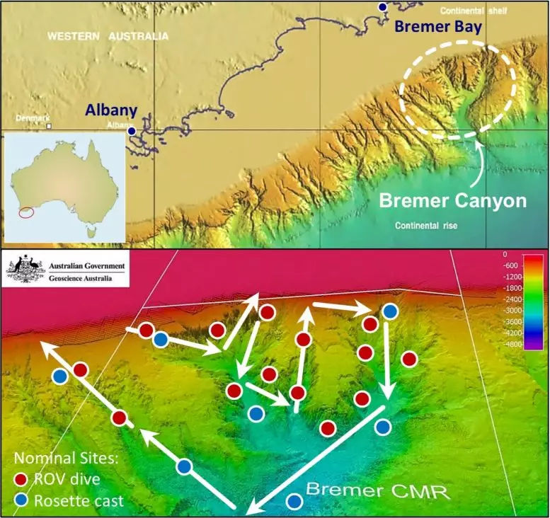 Deep Sea Coral Study Sites