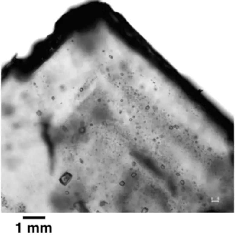 Des micro-organismes vieux de 830 millions d'années découverts dans des cristaux anciens - Implications pour la recherche de vie extraterrestre