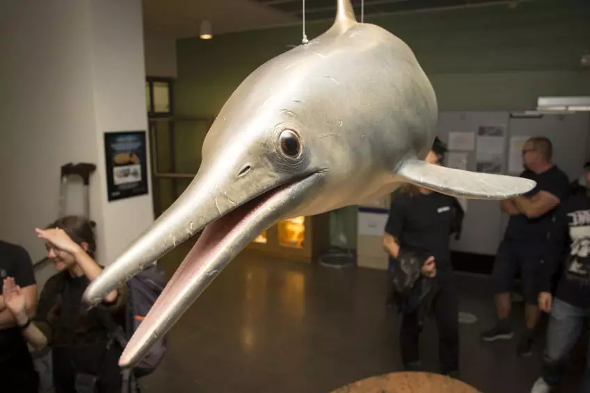 Reconstruction grandeur nature scientifiquement correcte d'un ancien lézard de poisson