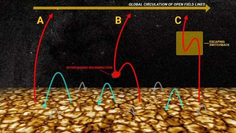 Riallineamento della linea del campo magnetico Sole