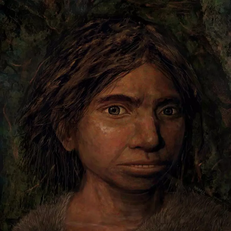 រូបថតរបស់ Denisovan Portrait