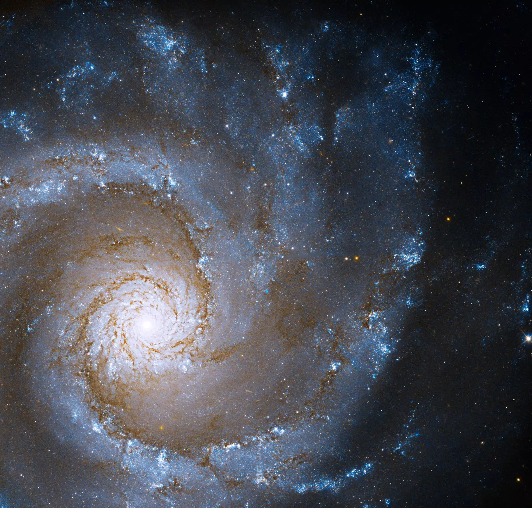 Hubble Nangkep Megah Grand Spiral Galaxy Face-On